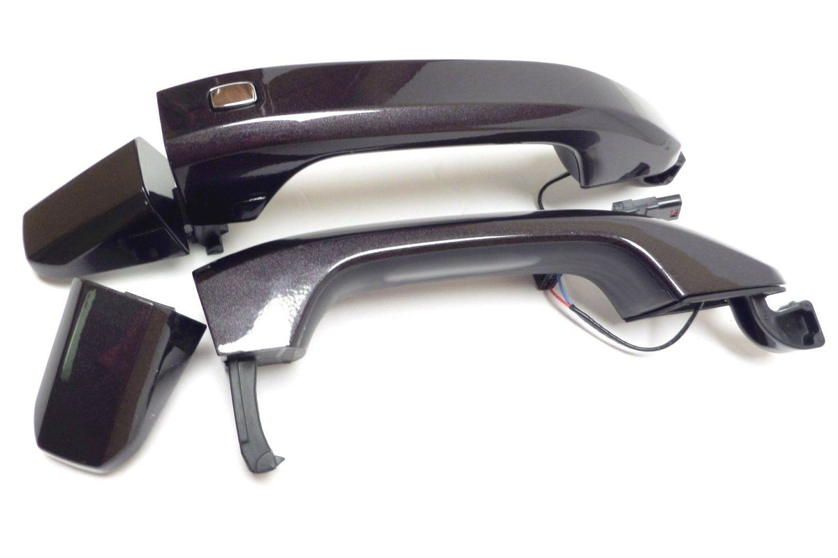 Keyless Exterior Door Handle Tungsten Passive Entry 2015 to 17 Silvera ...